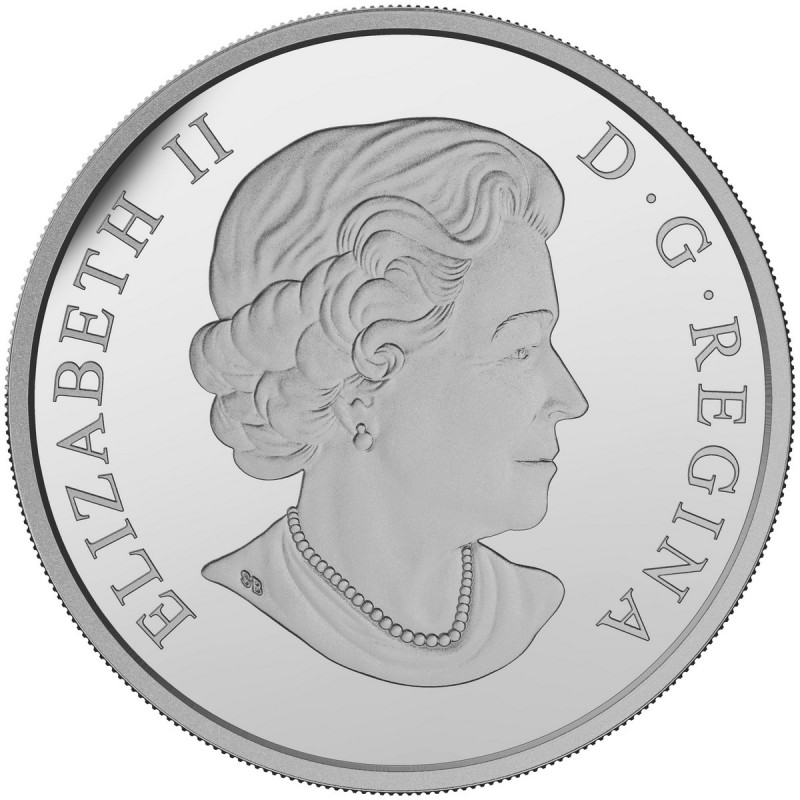 2016 Canadian $10 Day of the Ducks of Canada: Canvasback - 1/2 oz Fine ...