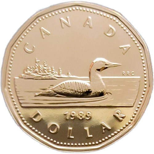1989 Canadian $1 Common Loon Dollar Specimen Coin