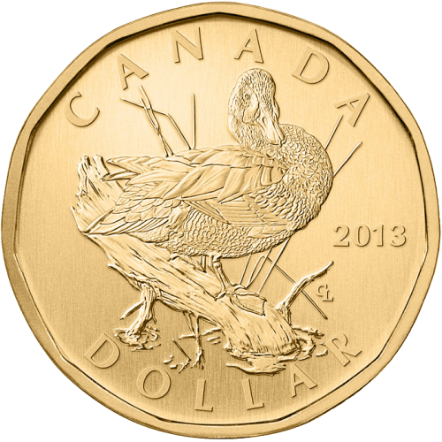 2013 Canadian $1 Blue-Winged Teal Dollar Specimen Coin