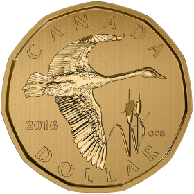 2016 (1916-) Canadian $1 Women's Right To Vote 100th Anniv Loonie ...