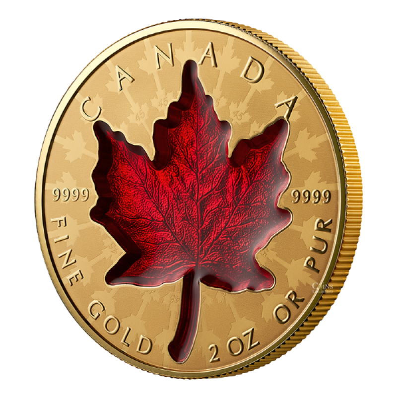 2024 Canada $200 Proud Maple - 2-oz. Pure Gold Coin