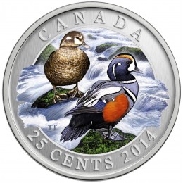 2013-2015 Ducks of Canada 25-Cent Coloured Coins Series