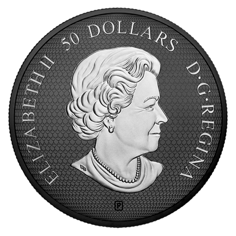 2020 Canadian $50 Maple Leaves in Motion - 5 oz Fine Silver Coin with ...