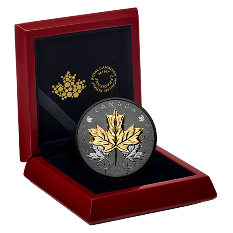 2020 Canadian $50 Maple Leaves in Motion - 5 oz Fine Silver Coin with ...