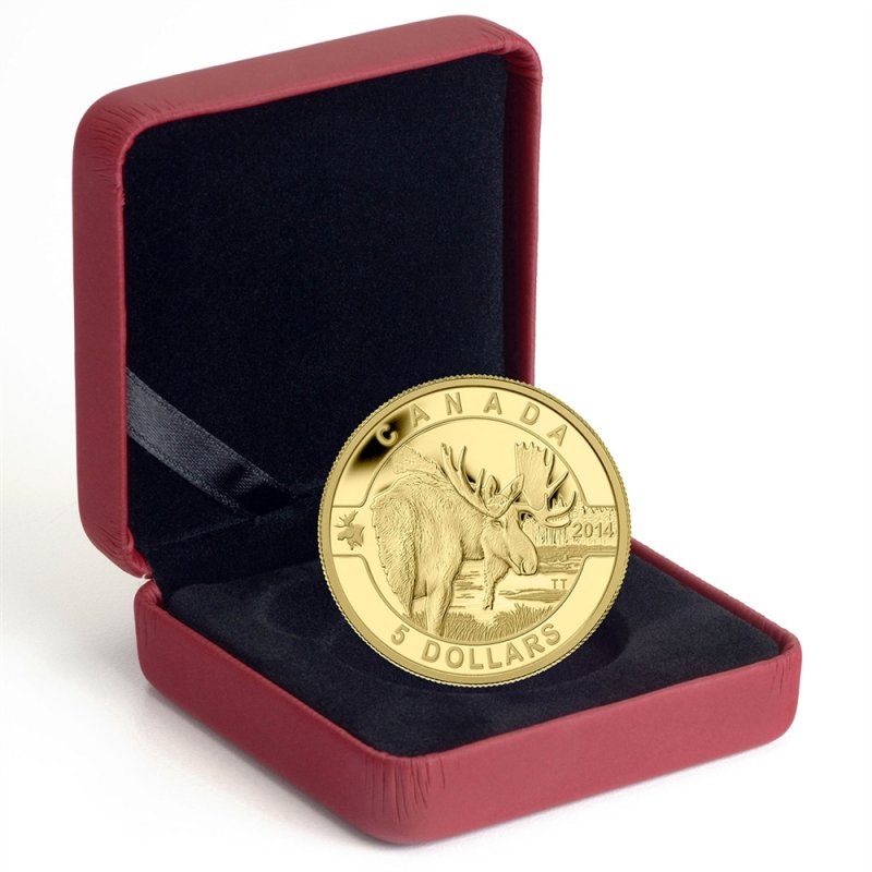 2014 Canadian $5 O Canada Series: Moose - 1/10 oz Pure Gold Coin